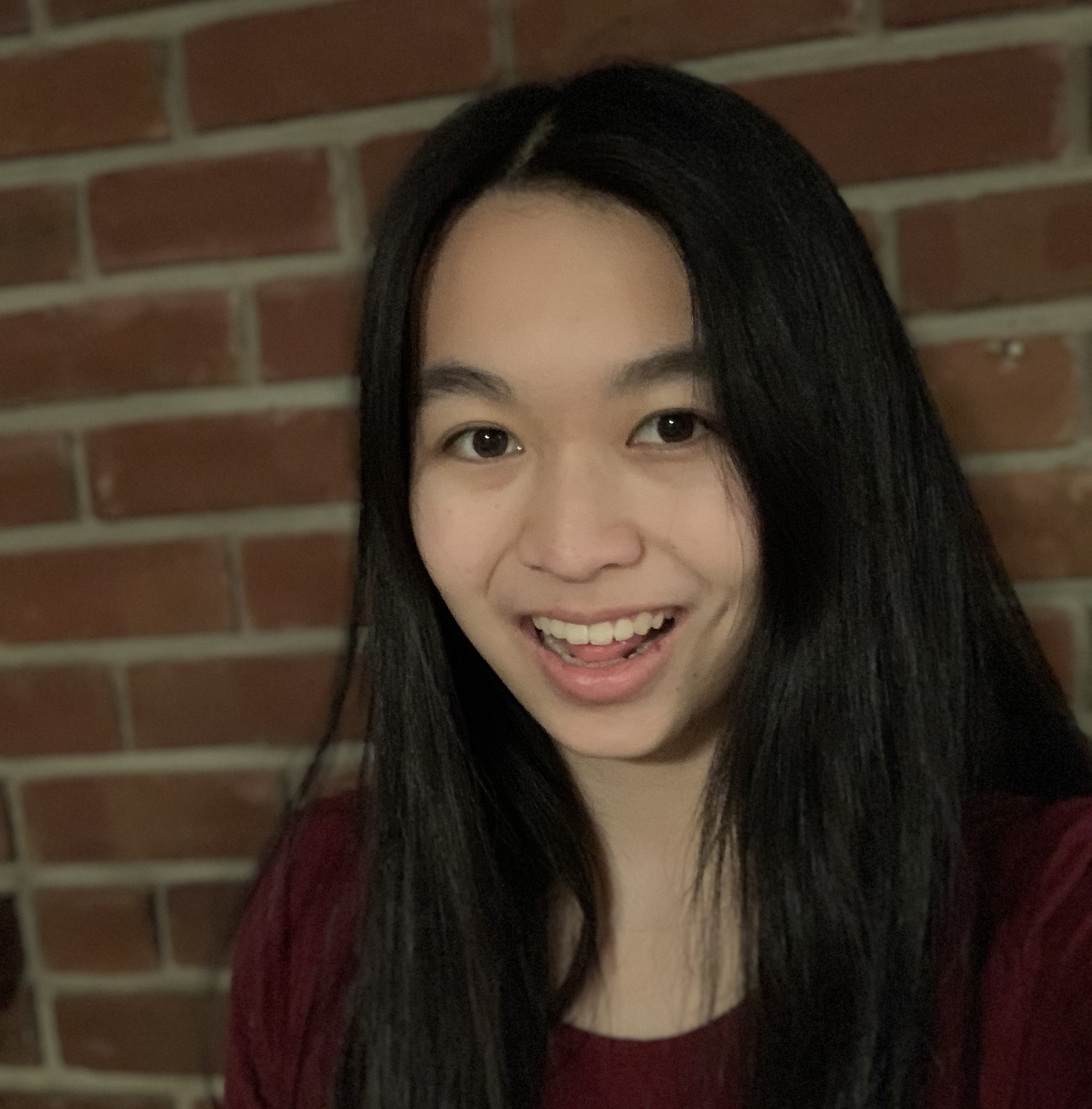 Leetcode 101: Introduction to Algorithmic Thinking, Spring 2021
